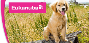 Eukanuba Dog Food Reviews 2022: Healthy, Affordable Choice?