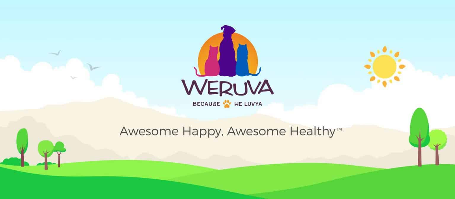 Weruva Dog Food Review 2022: The Best Luxury Pet Food Today?
