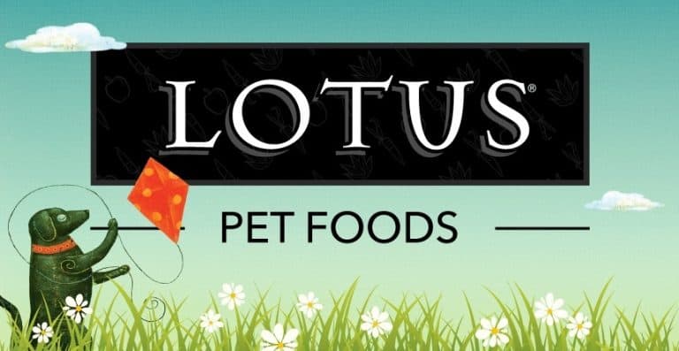 Lotus Dog Food Review 2022: The Best Oven Baked Dog Food?