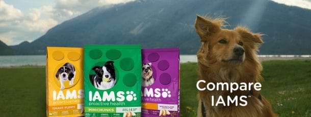 Iams Dog Food Review 2022: The Best Budget Pet Nutrition?
