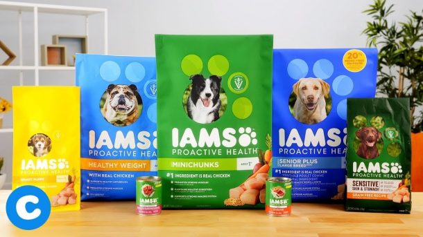 Iams Dog Food Review 2022: The Best Budget Pet Nutrition?