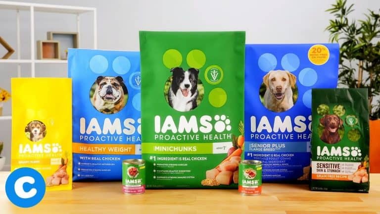 Iams Dog Food Review 2022: The Best Budget Pet Nutrition?