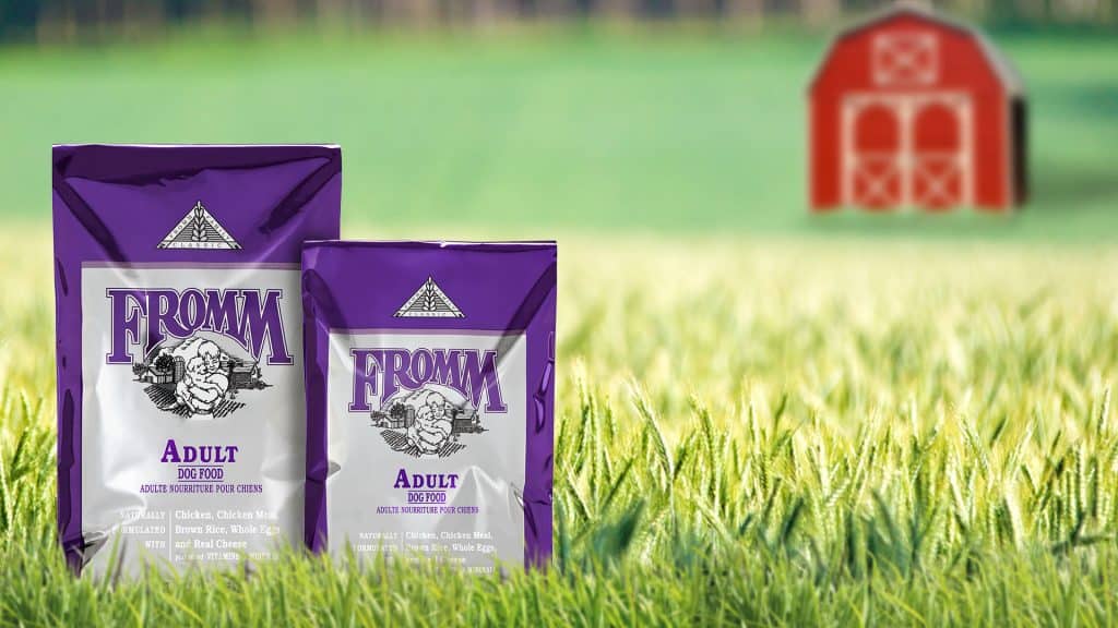 2022 Fromm Dog Food Review: The Best & The Oldest?