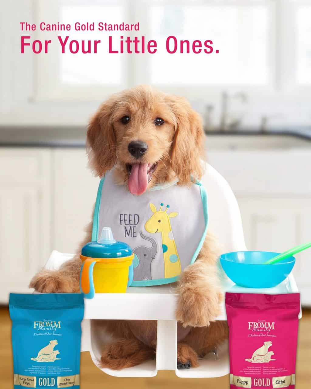 2022 Fromm Dog Food Review: The Best & The Oldest?