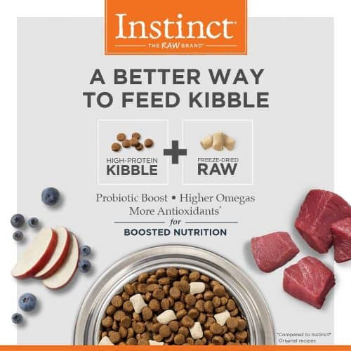 Nature's Variety Dog Food Review 2022: The Best of Its Kind?