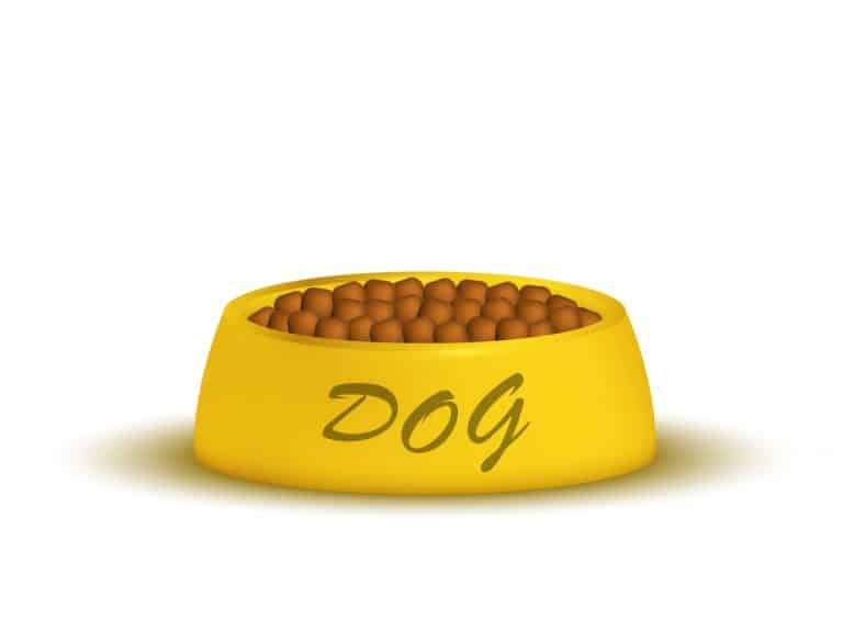 Reading Labels on Dog Foods 101: Best In-depth Guide