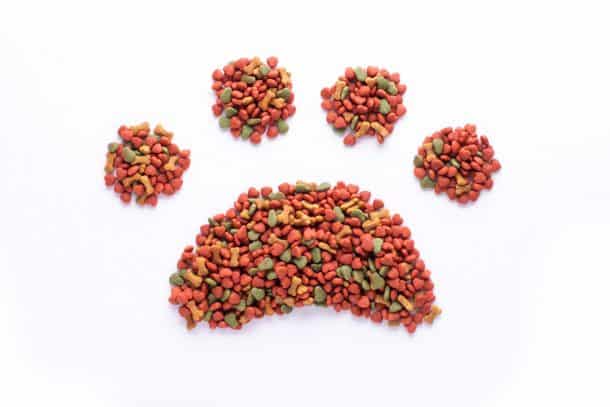 Different Types of Dog Food 101: Best, Worst and In Between!