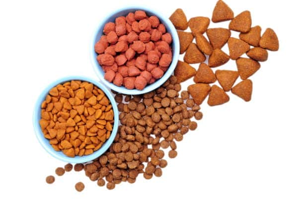 Different Types of Dog Food 101: Best, Worst and In Between!