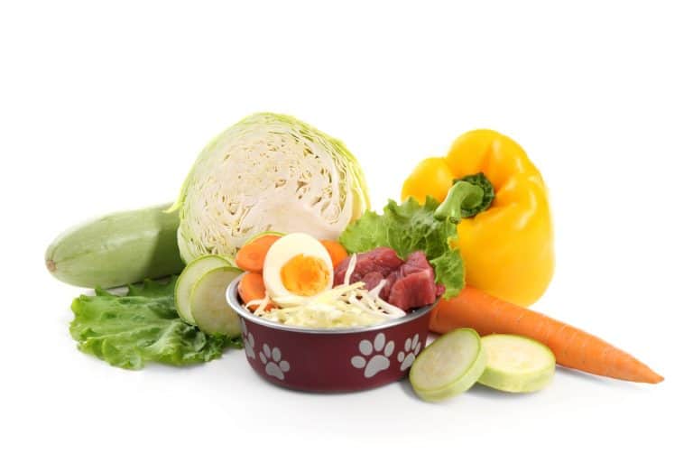 Low Fat Dog Food 101: Is It The Best For Your Pet?