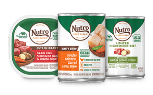 Nutro Dog Food Review 2022: The Cleanest Natural Choice?