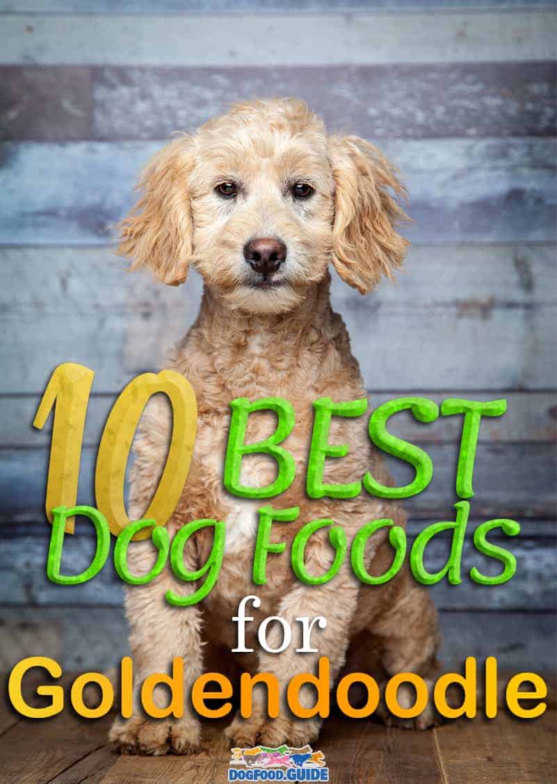 Best Dog Food for Goldendoodles in 2022: 14 Top Brands Revealed!
