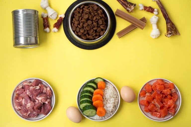 9 Best Chicken Free Dog Food: 2022 Complete Buyer's Guide