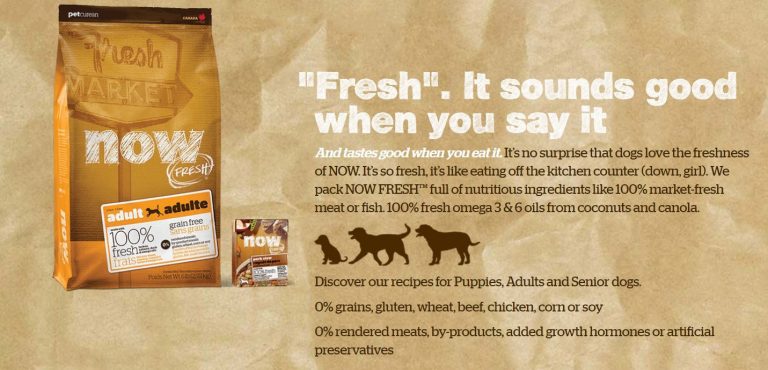 Now Fresh Dog Food Review 2022: The Freshest Option Today?