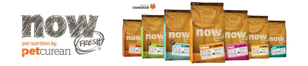 Now Fresh Dog Food Review 2022: The Freshest Option Today?