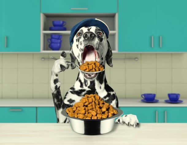 Choosing A Semi-Moist Dog Food: Know the Best 2022 Brands