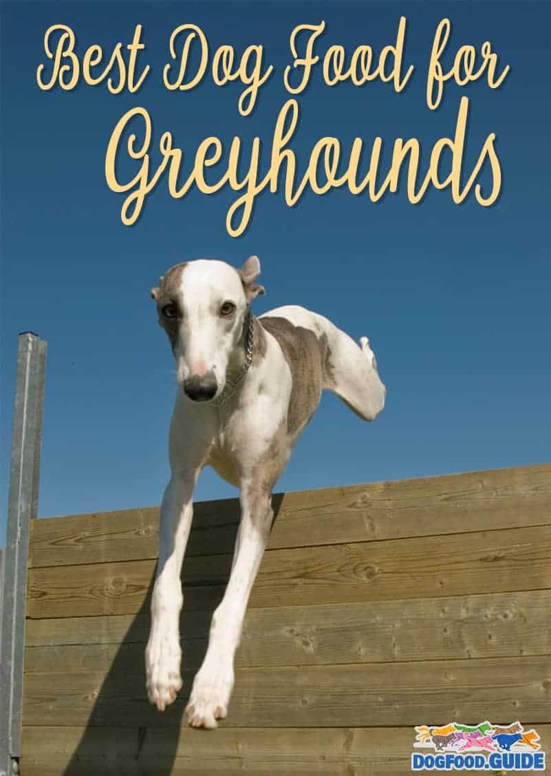 Best Dog Food For Greyhounds in 2022: Top Brands Revealed!
