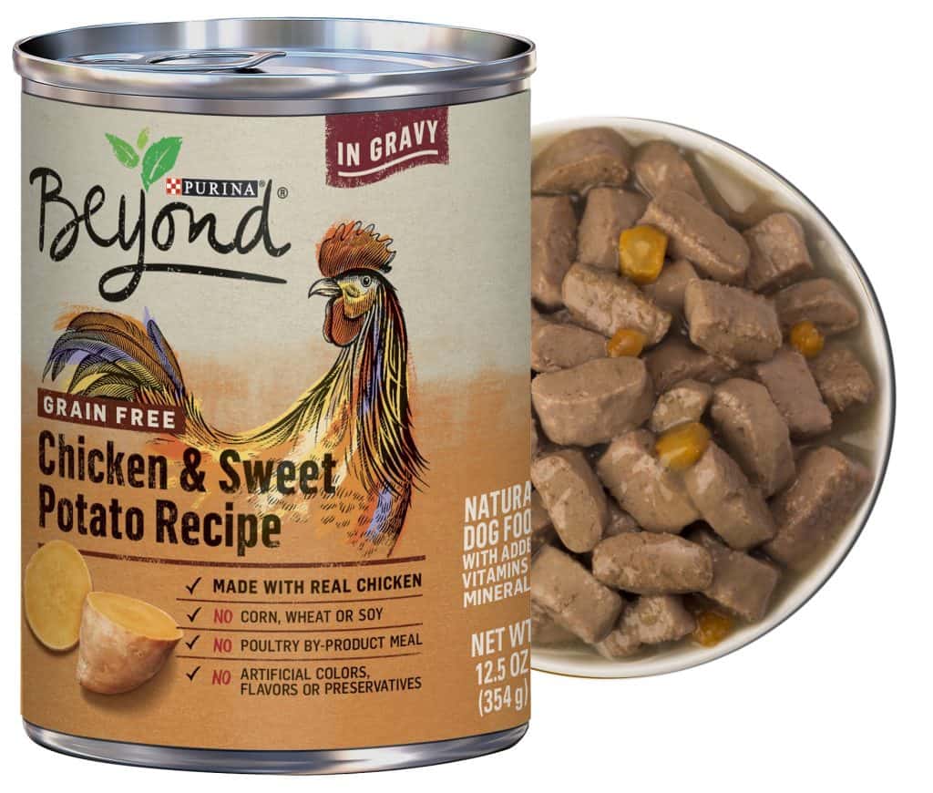 Purina Beyond Dog Food Review 2022: Best Budget Option?