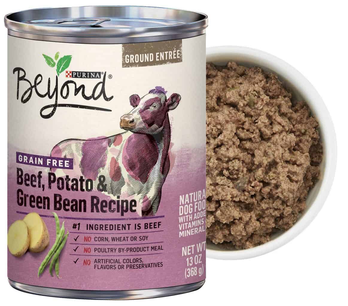 Purina Beyond Dog Food Review