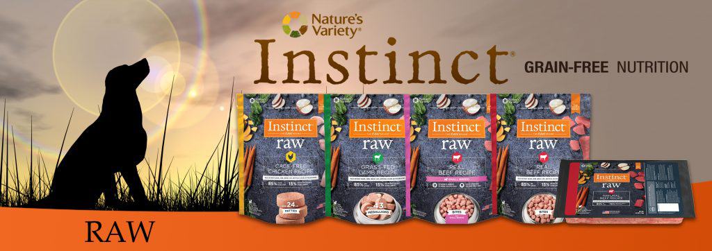 Instinct Dog Food Reviews 2022: The Best Raw Blend Kibble?