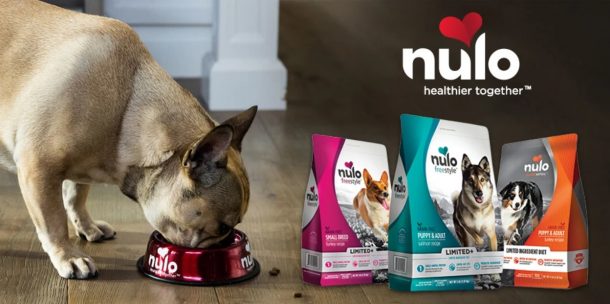Nulo Dog Food Reviews 2022: Excellent Holistic Alternative?