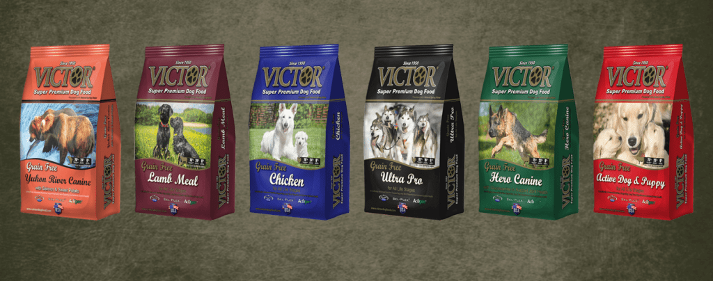 Victor Dog Food Reviews 2022: The Best Premium Dog Food?