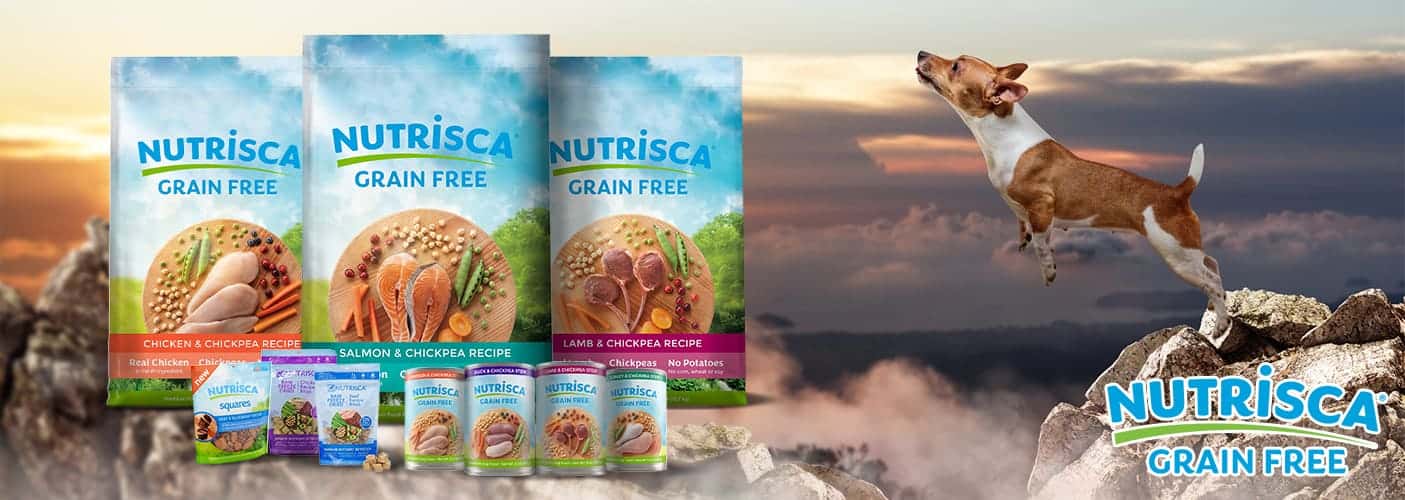 Dogswell and Nutrisca Dog Food Review 2022: Best Mid-Range?