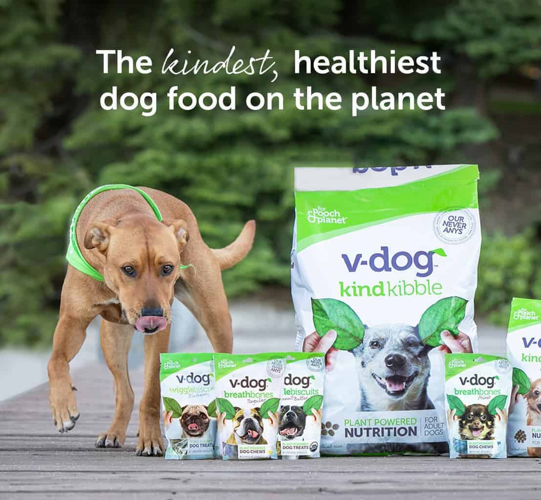 V-Dog Dog Food Review 2022: Is Vegan the Best Way To Go?