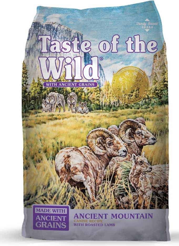 Taste of the Wild Dog Food Review for 2022: The Best Brand?