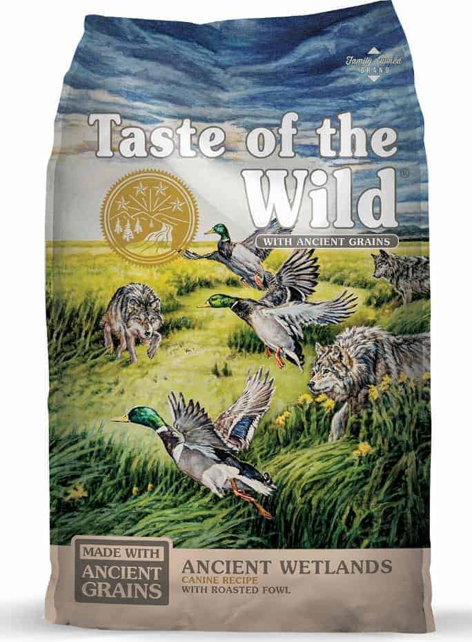 Taste of the Wild Dog Food Review for 2022: The Best Brand?