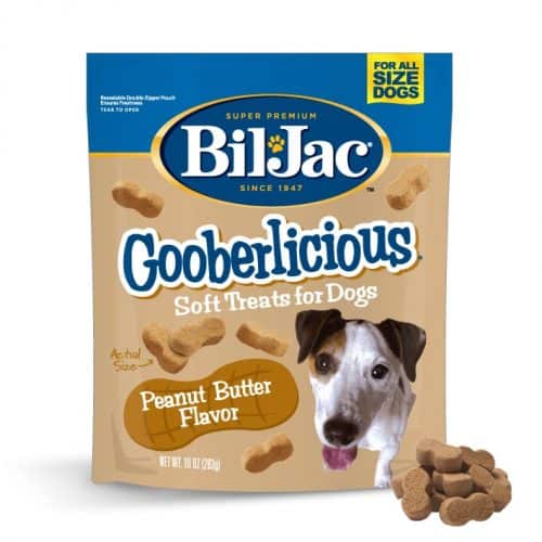 Bil-Jac Dog Food Review 2022: The Super Premium Dog Food?