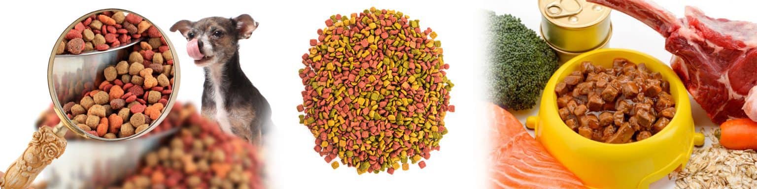 Different Types of Dog Food 101: Best, Worst and In Between!