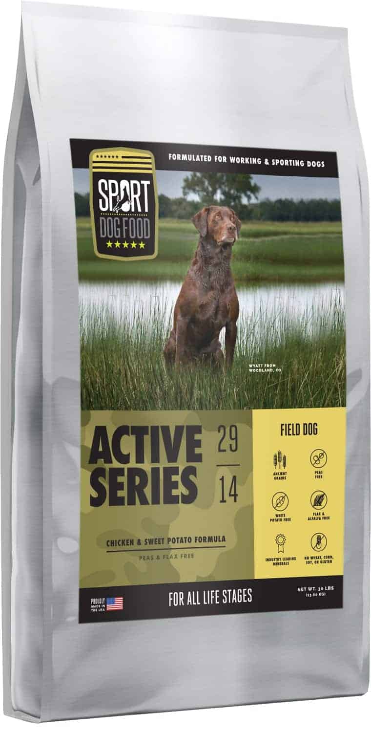 Sport Dog Food Reviews 2022: Best Suited for Active Dogs?