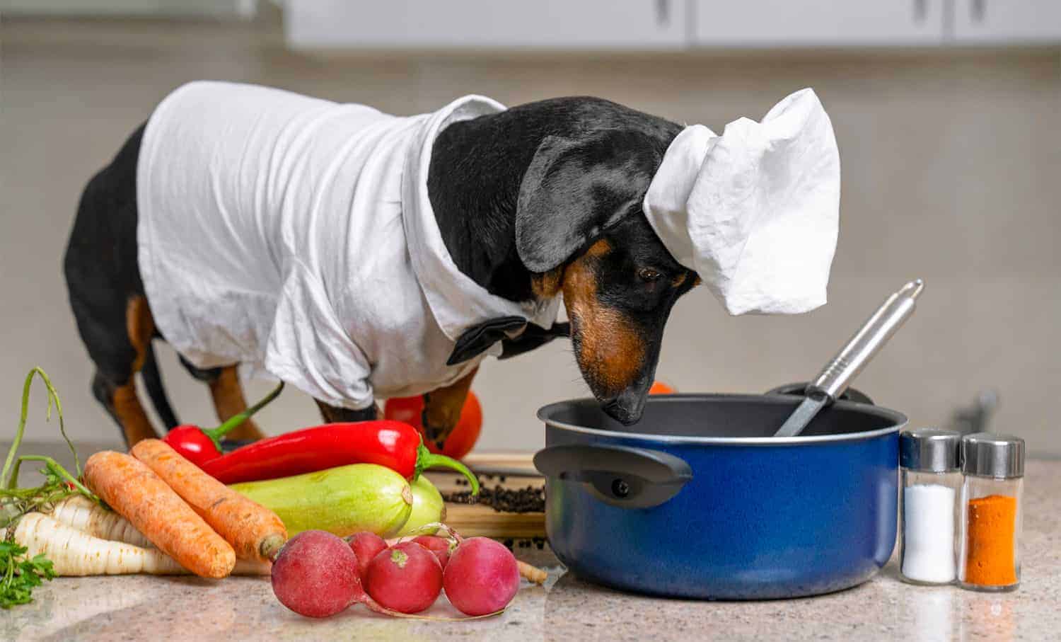 Can Dogs Eat Radishes? 5 Warning Signs of Allergic Reaction